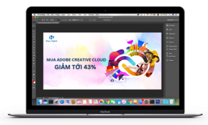 Adobe Việt Nam - Website đại diện chính thức của Adobe tại Việt Nam